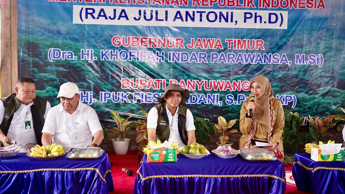 Berita Program TORA Hari Ini - Kabar Terbaru Terkini | Liputan6.com