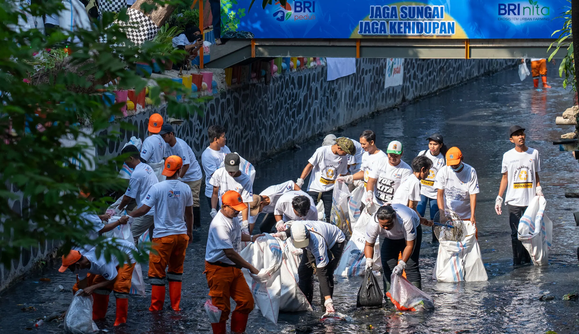 BRI Peduli Jadikan Kampung Bali Percontohan dalam Menjaga Ekosistem ...