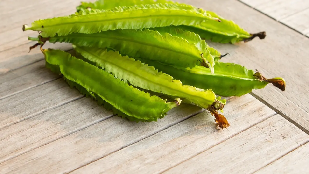 7 Jenis Sayur yang Dapat Dijadikan sebagai Lalapan Masakan Sunda