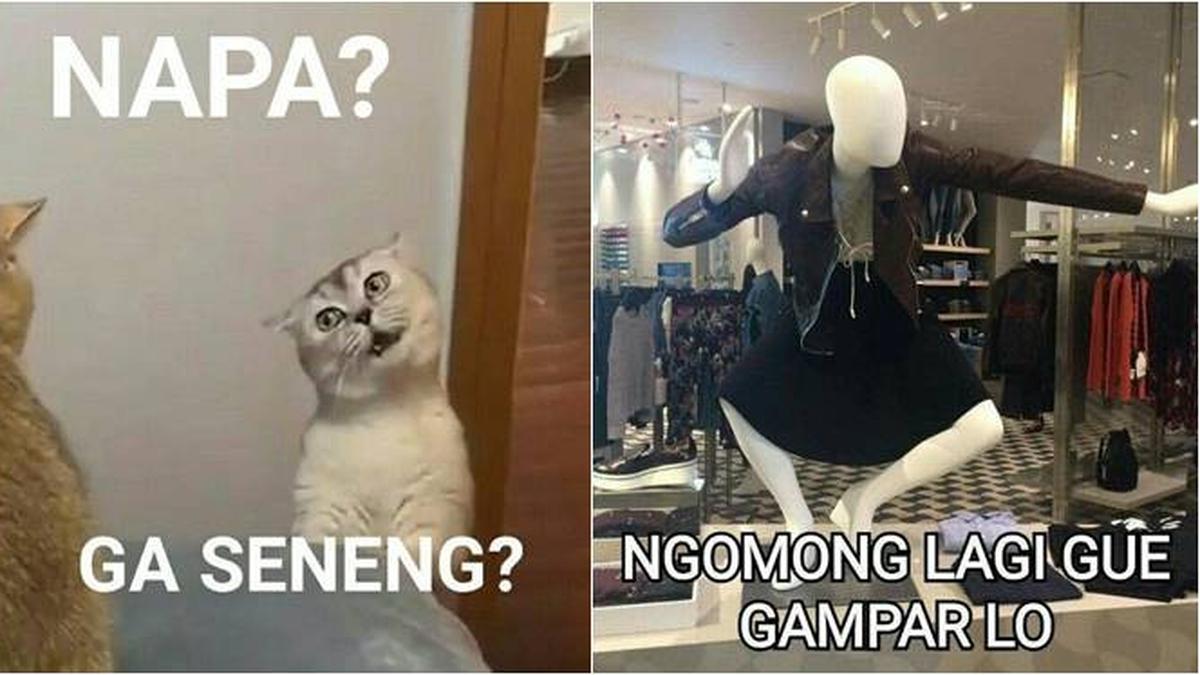 9 Meme Lucu Lagi Emosi Ini Kocak, dari Kucing Hingga Manekin
