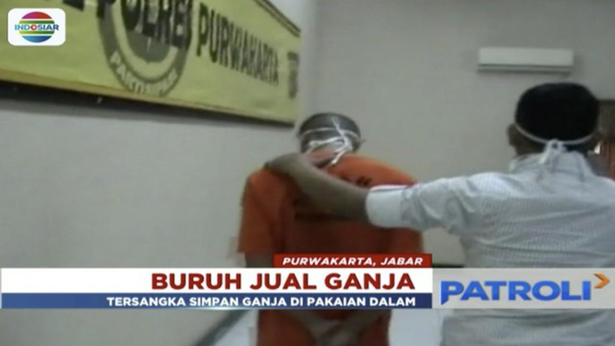 Sembunyikan Ganja Di Celana Dalam Buruh Di Purwakarta Dibekuk News