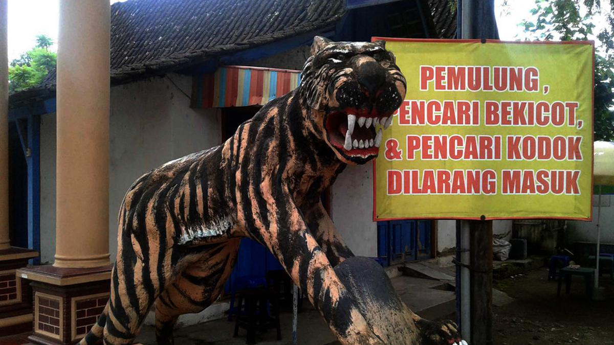 Macan Lucu Ponorogo Siap Jaga Kampung dari Serbuan Pencari Kodok ...