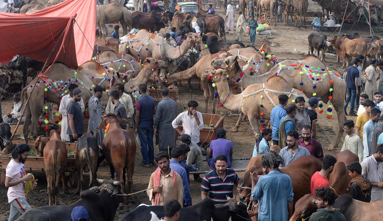 FOTO: Keramaian Pasar Hewan Kurban di Pakistan Mendekati Idul Adha ...