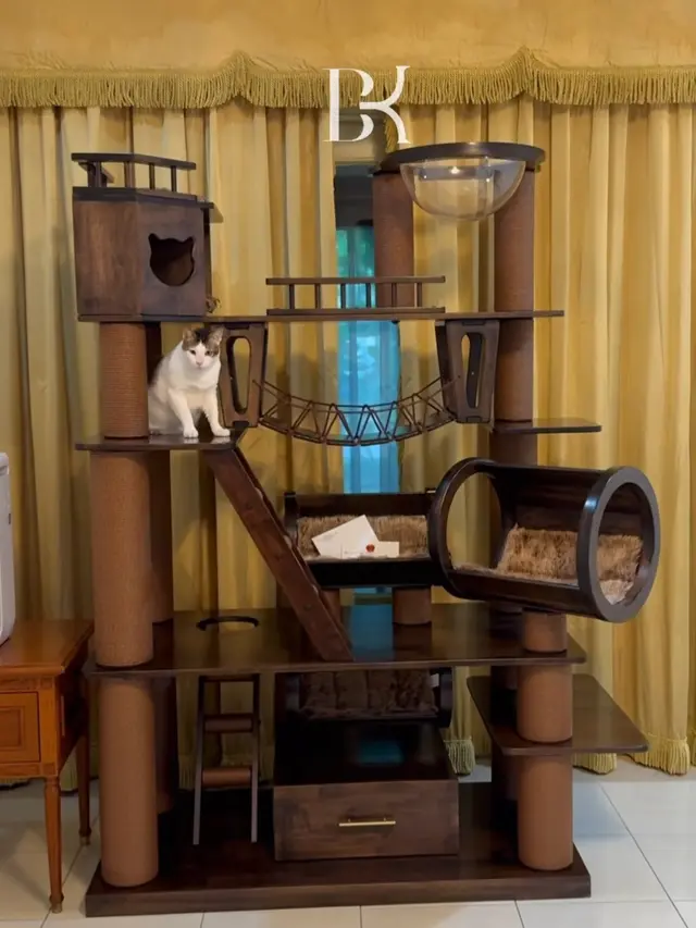 7 Potret Rumah Bobby Kertanegara Kucing Prabowo dari Dubes China, Mewah ...