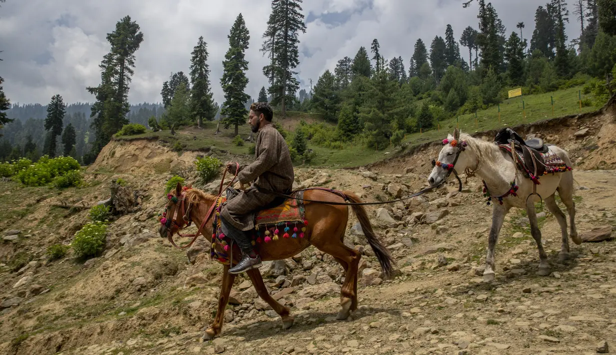 FOTO: Potret Padang Rumput Tosamaidan di Kashmir - Foto Liputan6.com