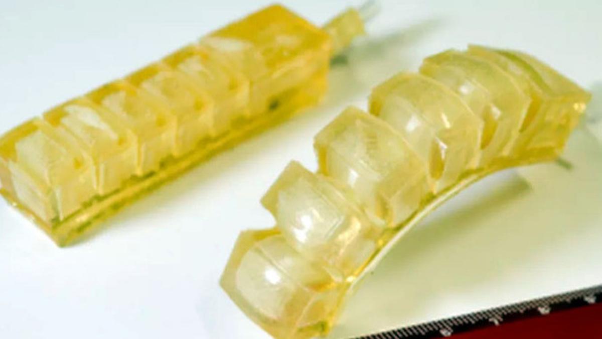 Unik, Robot Gelatin Ini Bisa Ditelan untuk Obat Pencernaan