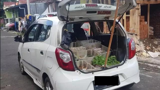 6 Potret Orang Jualan Sayur Pakai Mobil Mewah, Alih Fungsi Jadi Lapak ...