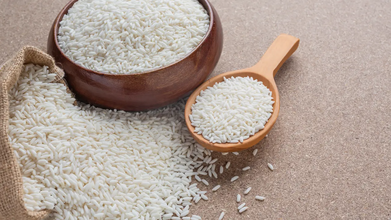 38 Contoh Sampah Organik Basah dan Kering, Ketahui Manfaatnya - Hot ...