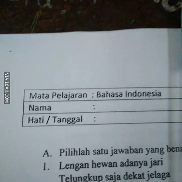 6 Tulisan Typo di Soal Ujian Siswa Ini Nyeleneh, Maknanya Jadi Berbeda ...