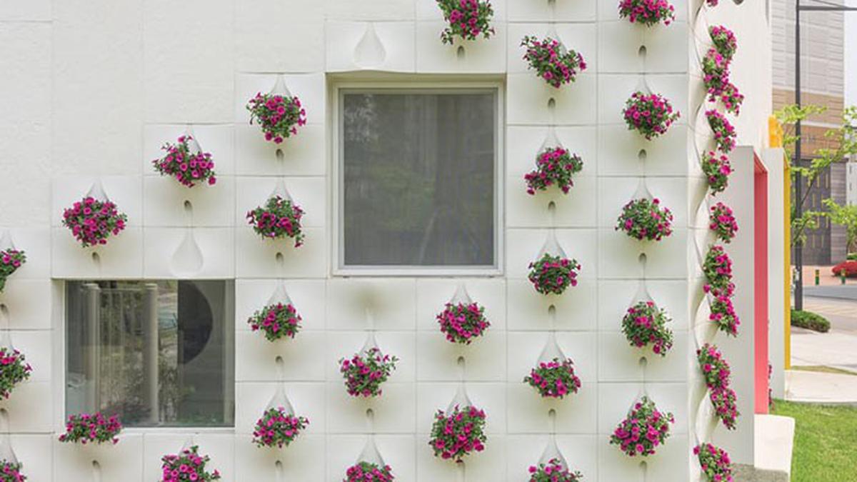 Membuat Taman Gantung Nan Cantik di Tembok Rumah - Foto Liputan6.com