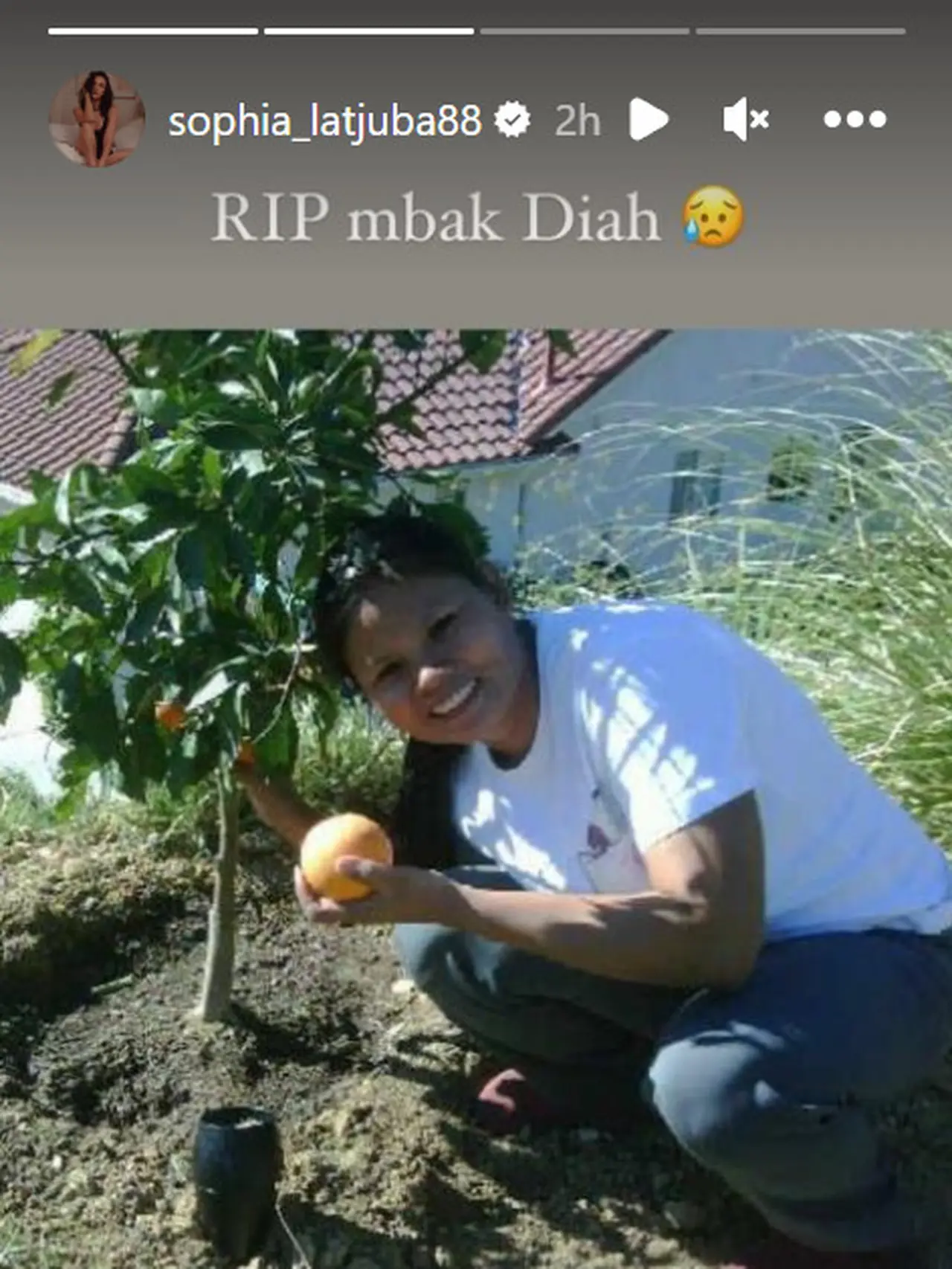 Sophia Latjuba Berduka, Asisten Rumah Tangganya Meninggal Dunia, Ungkap Jasanya Membesarkan Eva ...