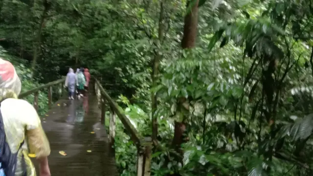 Menembus Hutan Mulu Menjelajahi Keindahan Gua Lang Sarawak Malaysia ...