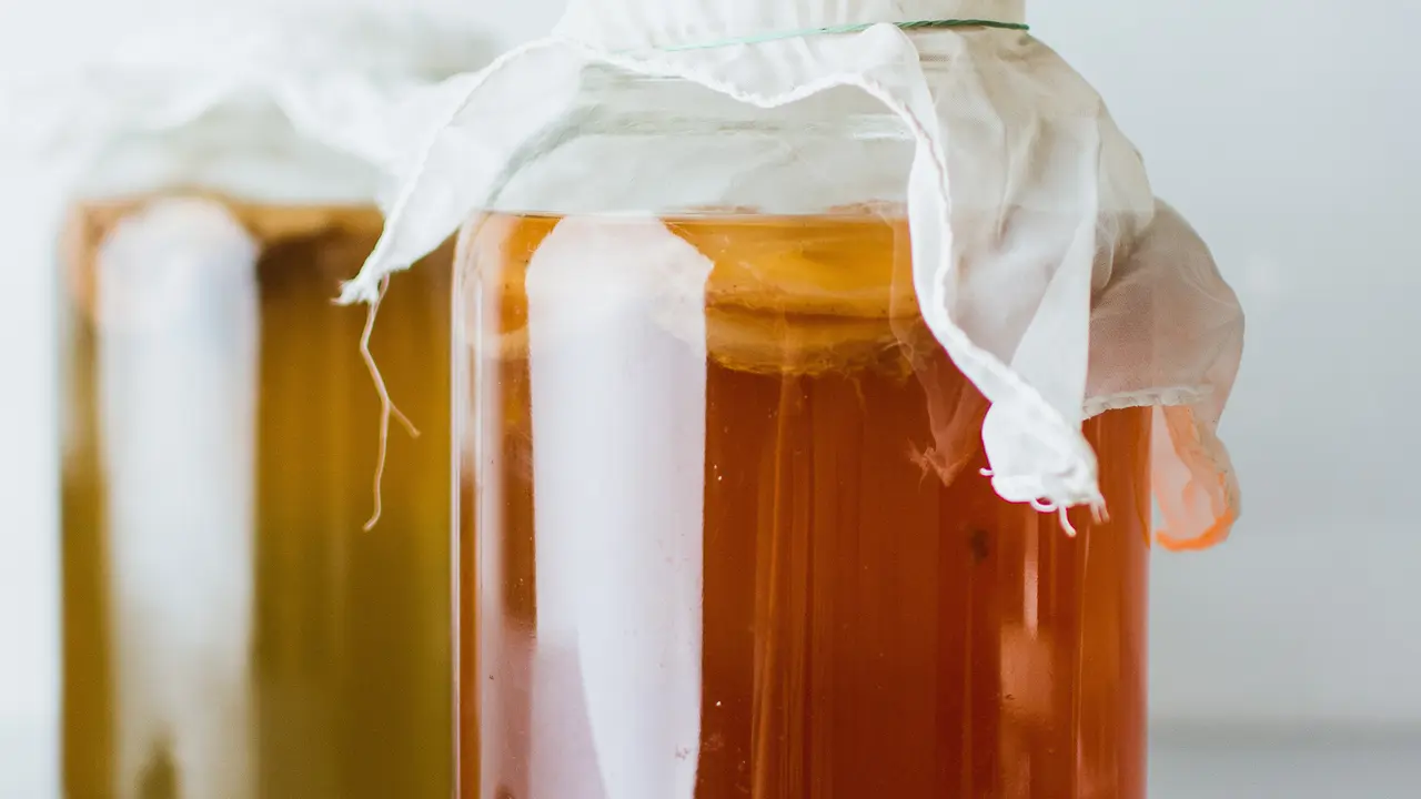 12 Manfaat Kombucha untuk Kesehatan, Sumber Probiotik