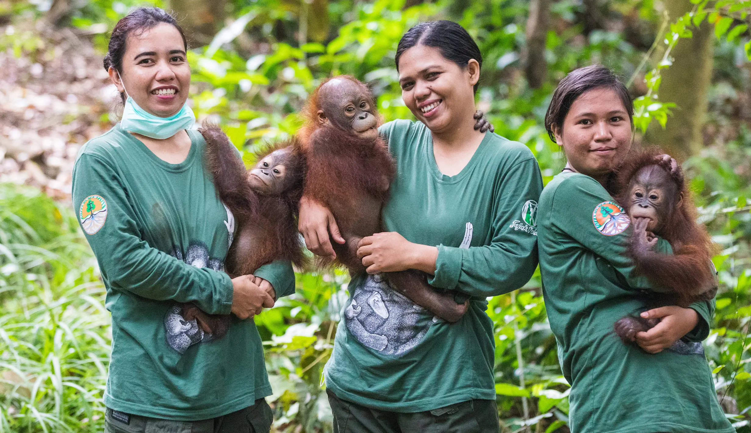FOTO: Menengok Sekolah untuk Orangutan di Kalimantan Timur - Foto ...