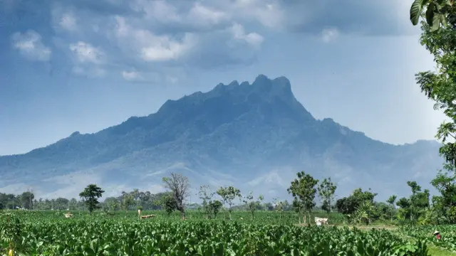 6 Fakta Menarik Gunung Ringgit di Jawa Timur yang Bentuknya Seperti ...