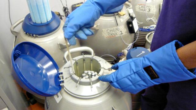 Bayi Ini Lahir dari Embrio Beku Berumur 25 Tahun - Global Liputan6.com