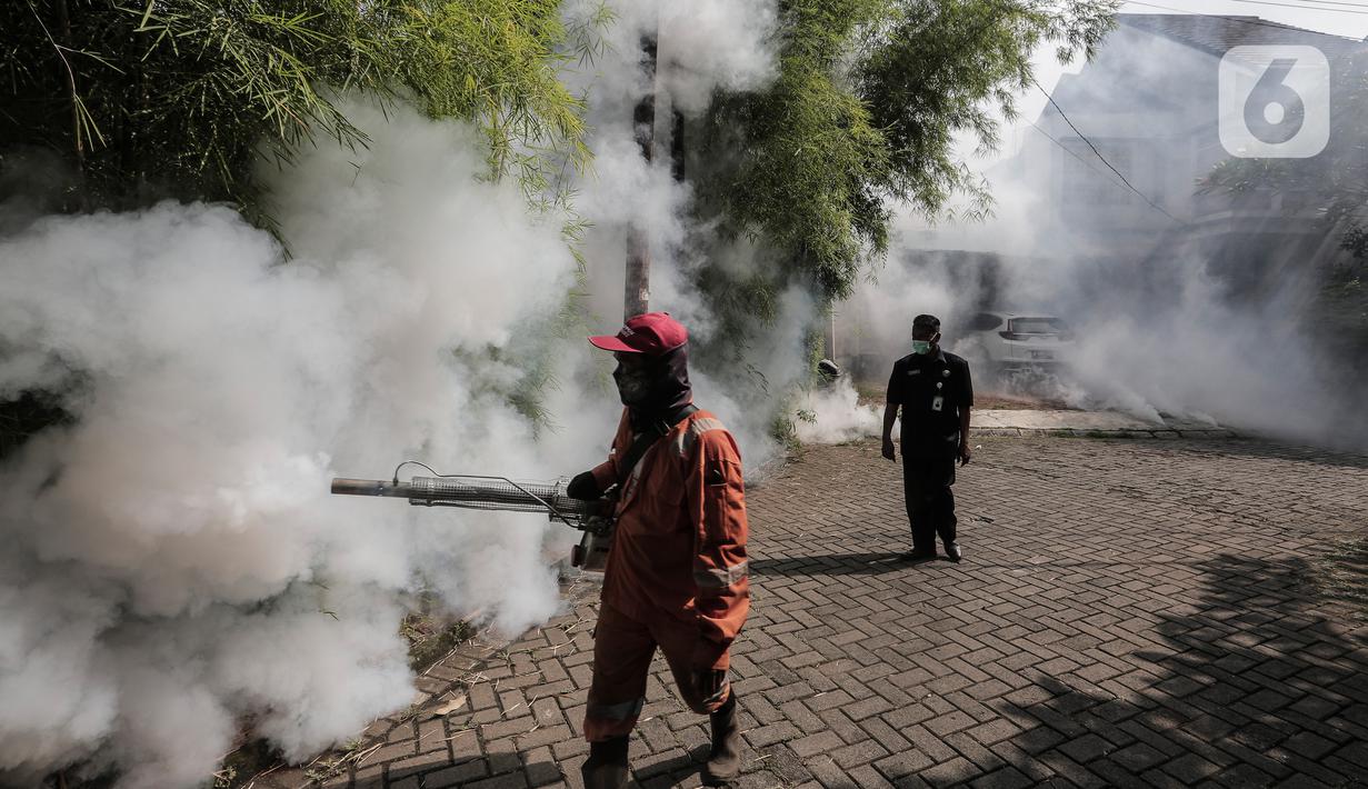 Cegah Penyebaran DBD Saat Musim Hujan - Foto Liputan6.com