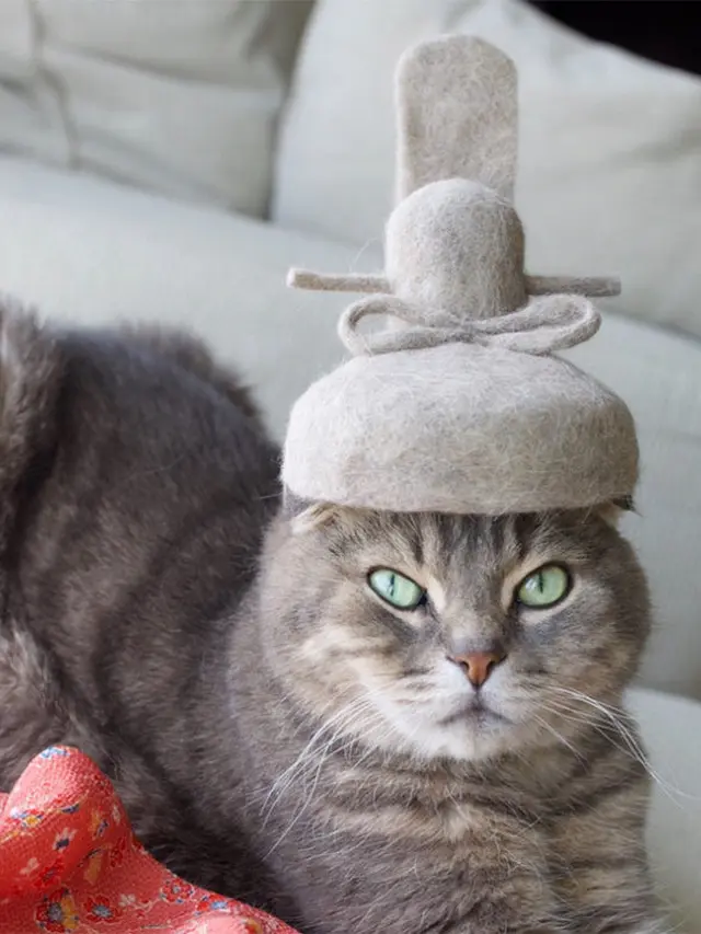 7 Potret Kucing Pakai Topi Lucu Ini Menggemaskan, Dibuat dari Bulu ...