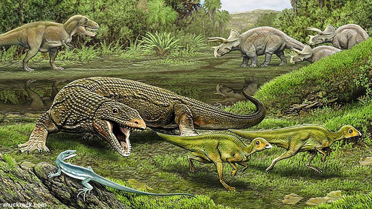 Hormati Obama, Kadal Purba Ini Dinamai Obamadon gracilis - News ...