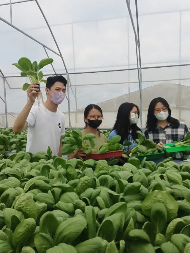 Penyanyi Han Chandra Kembangkan Kebun Kohan, Fokus ke Kesehatan Tanah ...