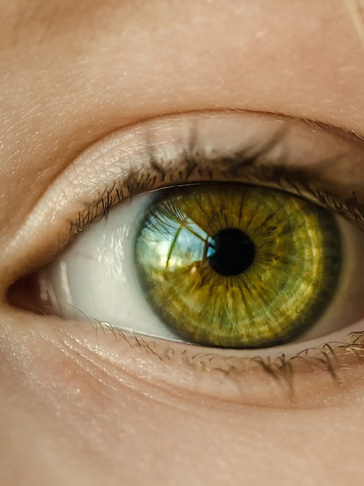 Perspektif Adalah Cara Pandang, Kenali Jenis-Jenisnya - Hot Liputan6.com