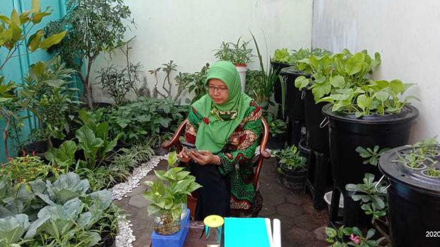 7 Jenis Ikan yang Bisa Diternak Bersama Kangkung dalam Sistem Akuaponik ...