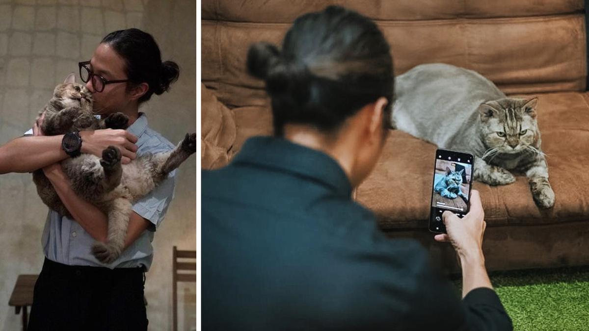 Momen Kebersamaan Dikta dan Jimbon Kucing Gembul Kesayangannya, Gemes ...