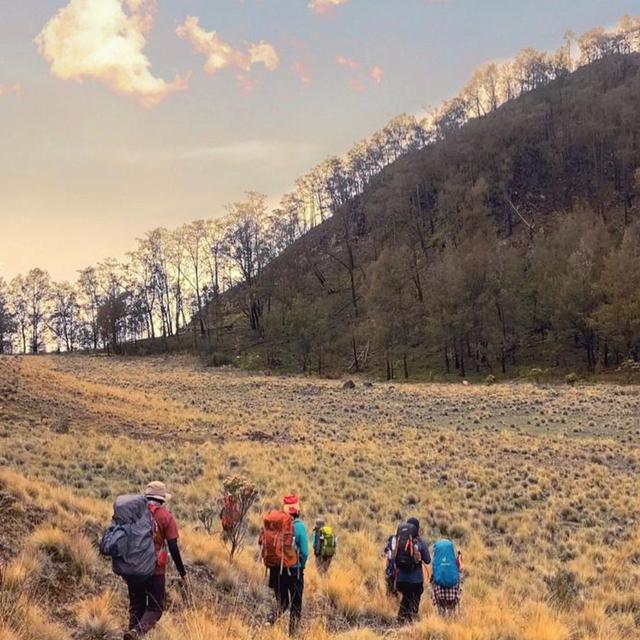 6 Fakta Menarik Gunung Argopuro yang Memiliki Jalur Pendakian hingga 63 ...