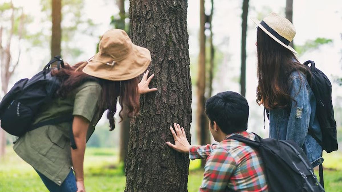 6 Alasan Mengapa Berkegiatan di Alam Terbuka Baik untuk Otak