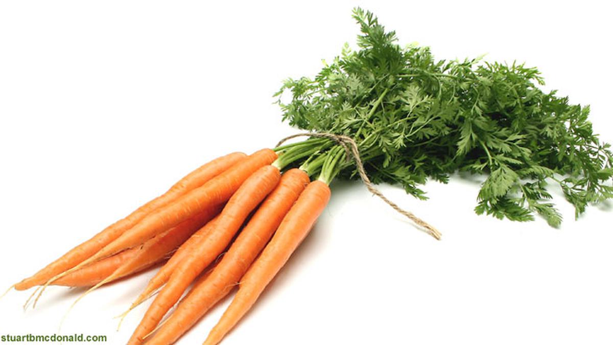 Wah, Wortel Ternyata Sajian Wajib di Zaman Mesir Kuno - Health Liputan6.com