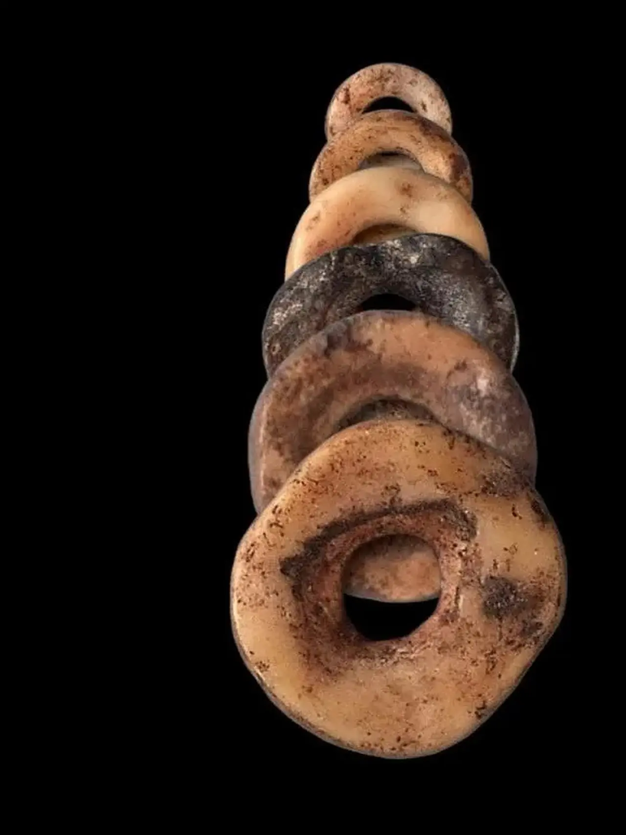 Kulit Telur Burung Unta Ini Jadi Bukti Asuransi Manusia Sudah Ada Sejak ...