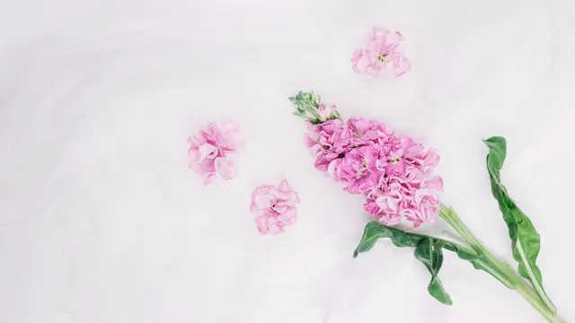 7 Manfaat Mandi Kembang Tujuh Rupa yang Perlu Diketahui - Ragam Bola.com