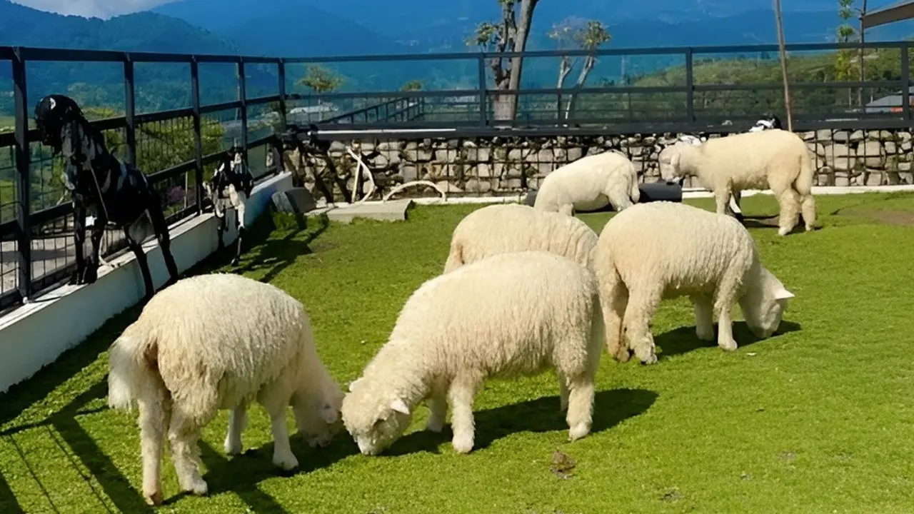 Mengintip The Nice Park Rumpin, Wisata Ramah Anak di Bogor - Regional ...