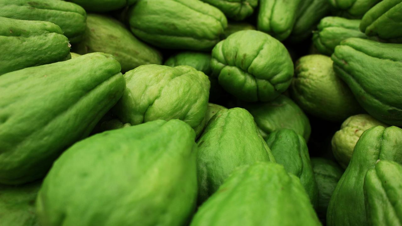 Cara Masak Labu Siam yang Benar, Lengkap Resep Olahannya