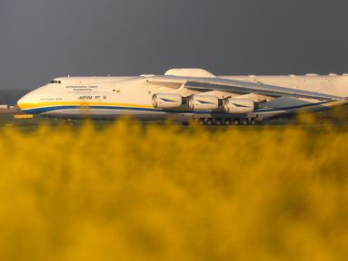 Berita Antonov An-225 Hari Ini - Kabar Terbaru Terkini | Liputan6.com