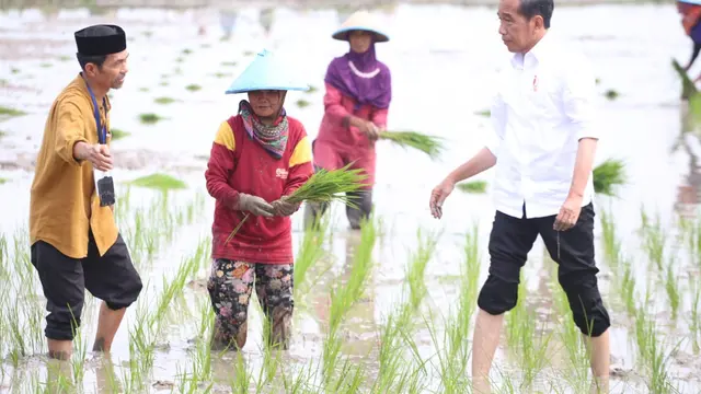 Genjot Ketersediaan Beras Nasional, Presiden Jokowi Didampingi Mentan SYL Lakukan Percepatan ...