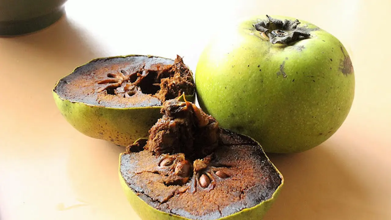 12 Manfaat Buah Black Sapote bagi Kesehatan, Tingkatkan Imun hingga Cocok untuk Diet - Hot ...