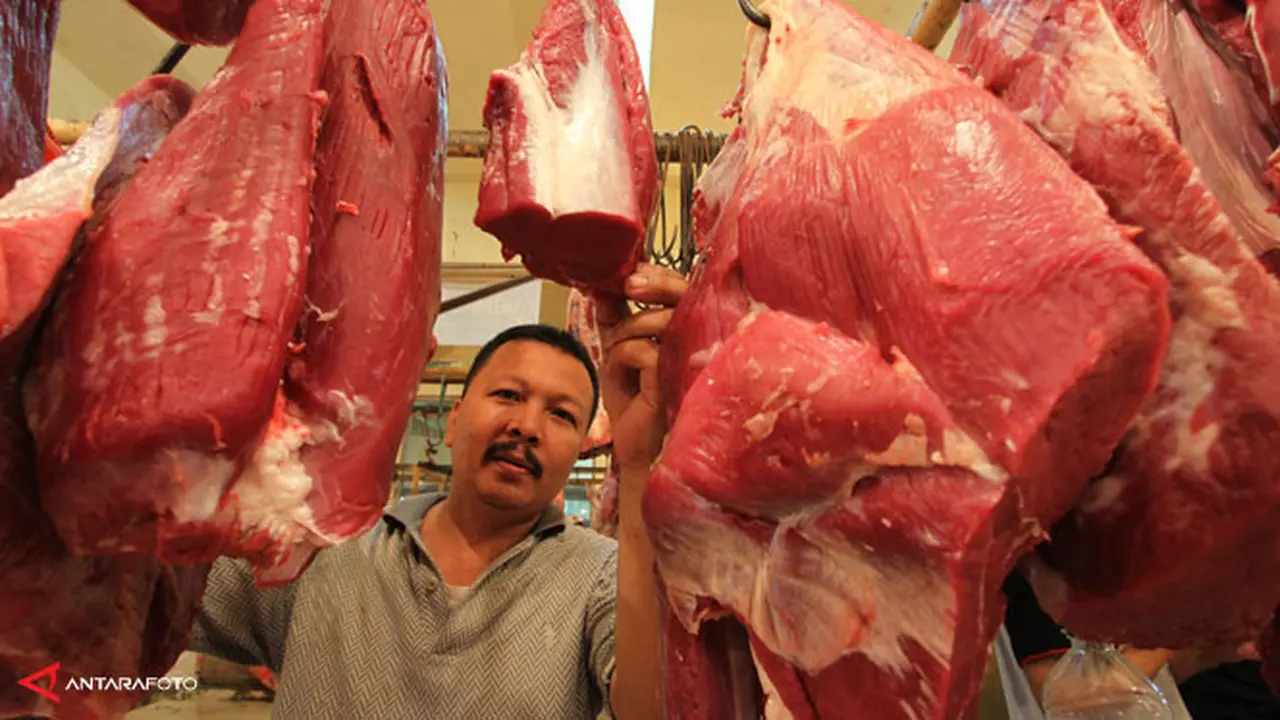 Jatahi Bulog Impor 3.000 Ton, Mendag Yakin Harga Daging Turun - Bisnis ...