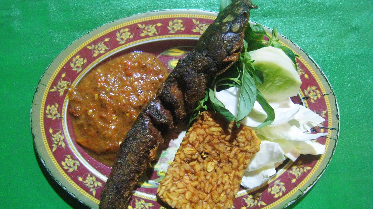 12 Rekomendasi Tempat Makan Pecel Lele di Jogja 2025, Sambalnya Bikin Nagih