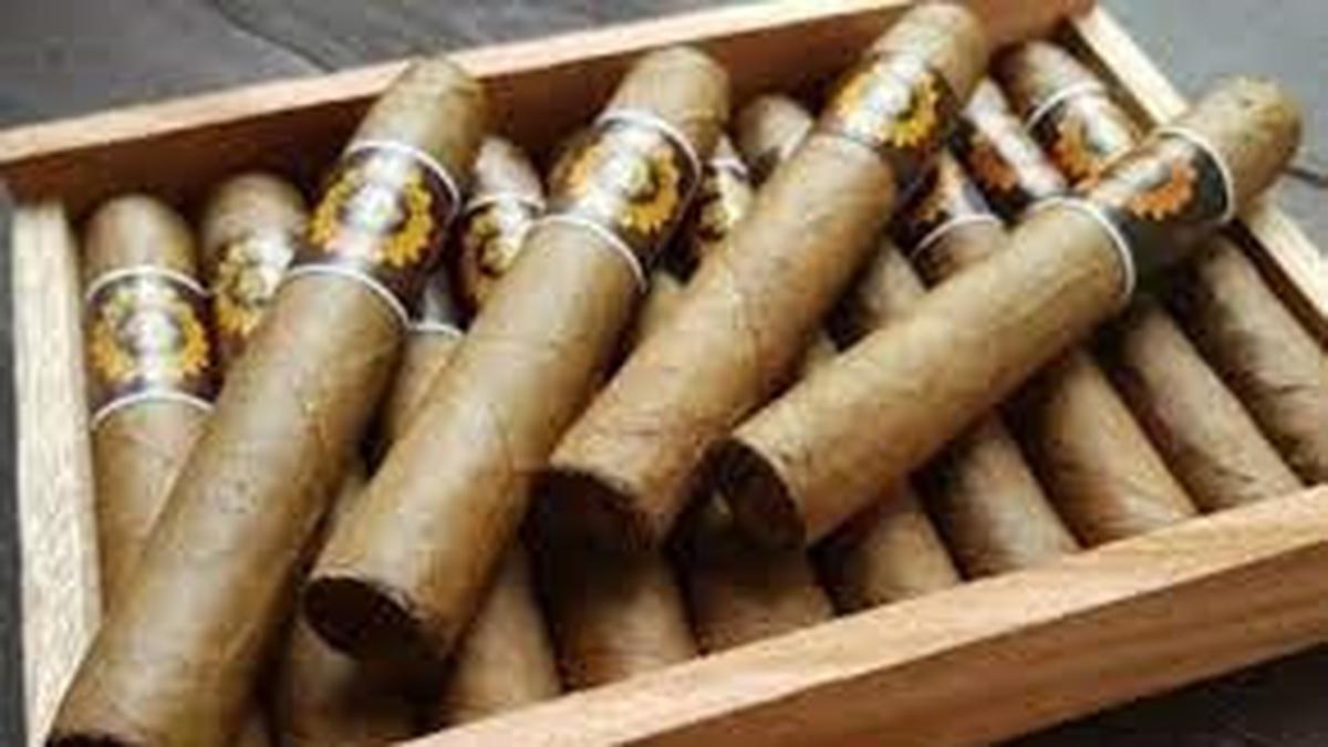 Target Transaksi Hingga Rp 15 Miliar Pada Festival Jember Kota Cerutu ...