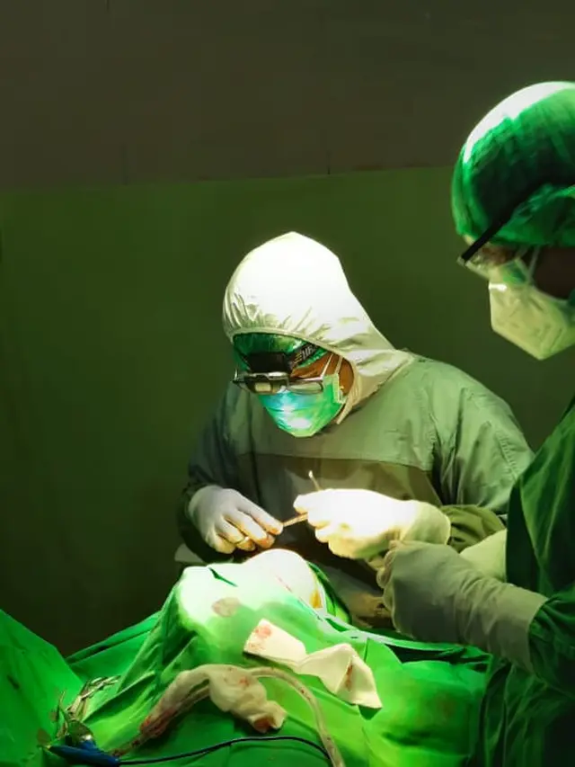 Mengenal 2 Jenis Bedah Plastik dan 6 Divisinya - Health Liputan6.com