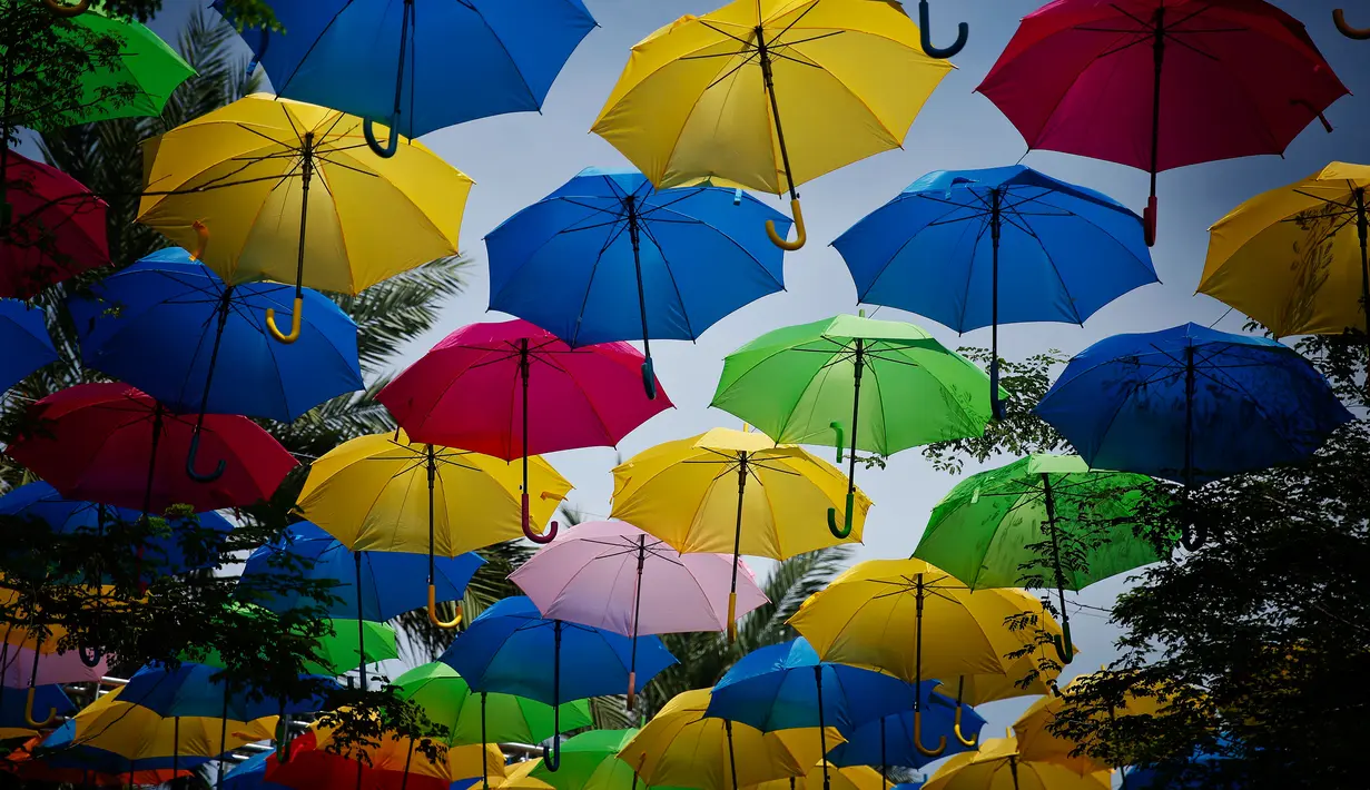 FOTO: Payung-payung Cantik Warnai Langit Coral Gables di Florida - Foto ...