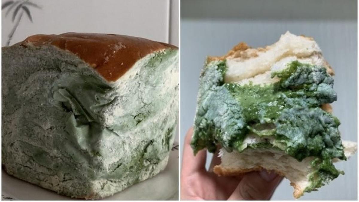 Viral Roti Miliki Tampilan Seperti Berjamur, Berani Mencoba?