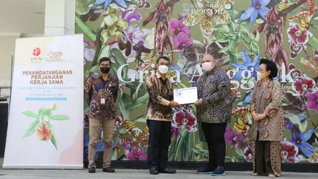 Mitos Bunga Anggrek Biru yang Kerap Muncul Dalam Drama Little Women ...