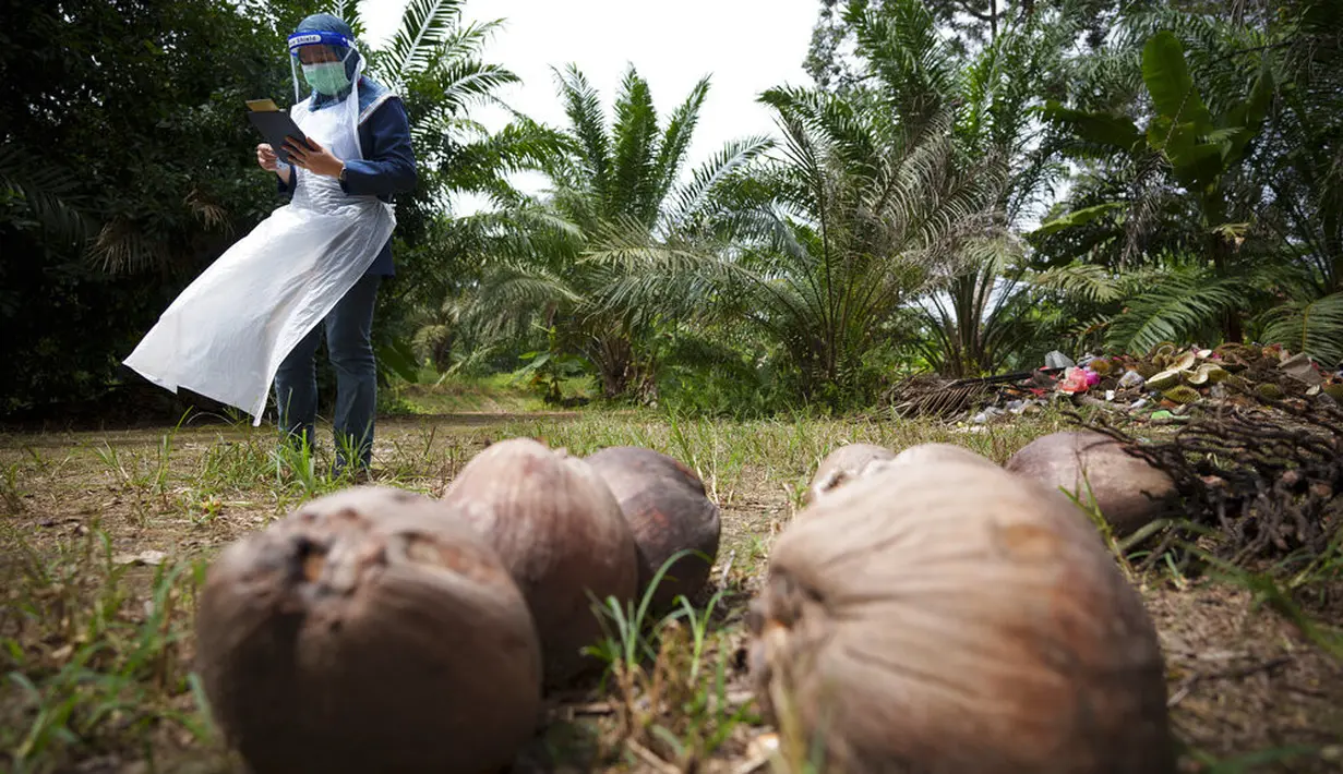 Foto Vaksinasi Jemput Bola Untuk Lansia Di Malaysia Foto Liputan6