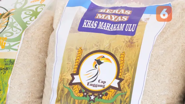Tak Banyak Lahan Sawah, Kabupaten Ini Punya Mimpi Swasembada Beras ...