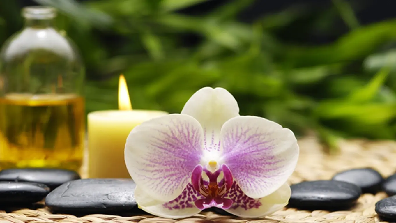 Jenis Massage Untuk Memperbesar Payudara