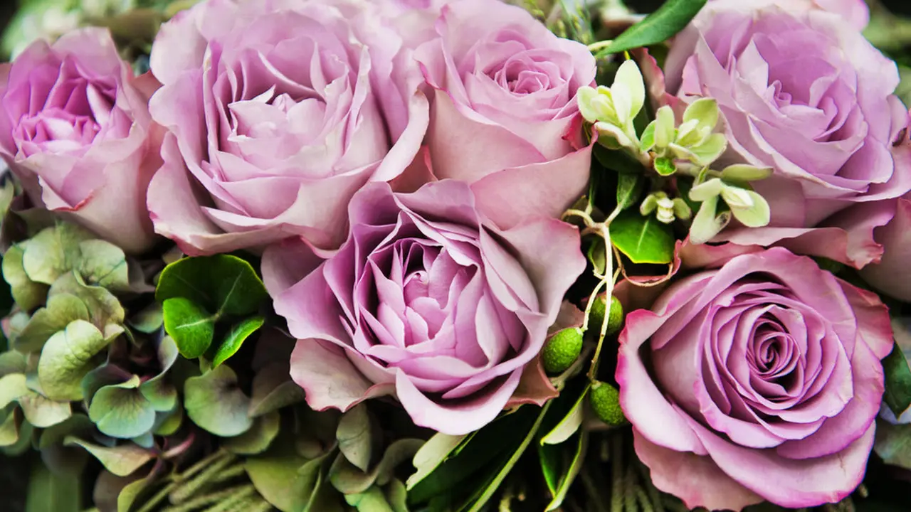 Ini 6 Jenis Warna Bunga Mawar Beserta Artinya yang Cocok Diberikan saat ...