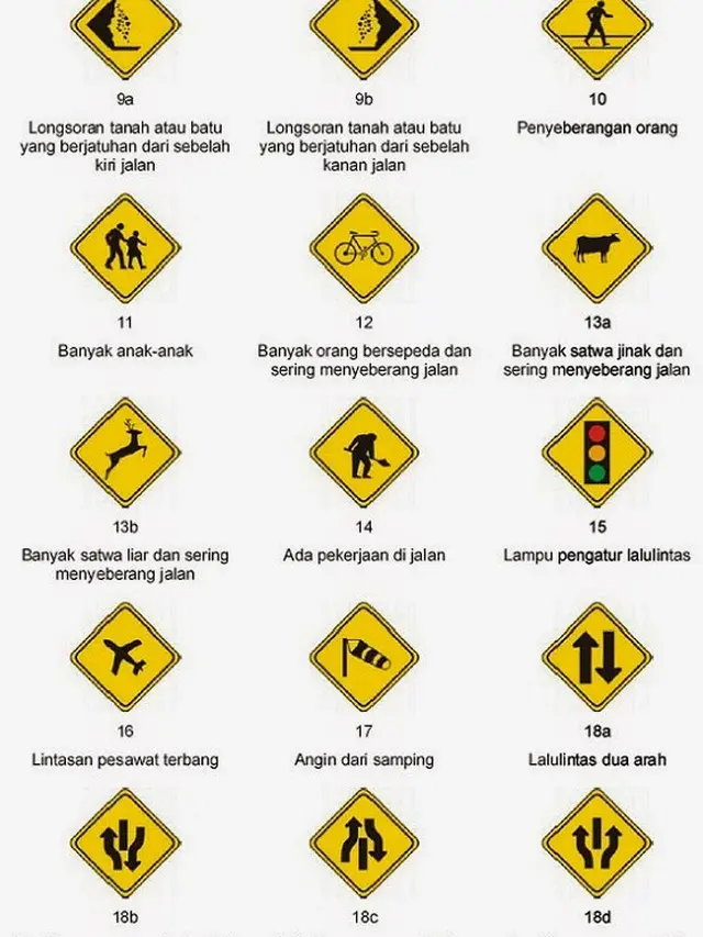 Rambu Lalu Lintas dan Artinya, Berikut Jenis-Jenis dan Arti Marka Jalan ...