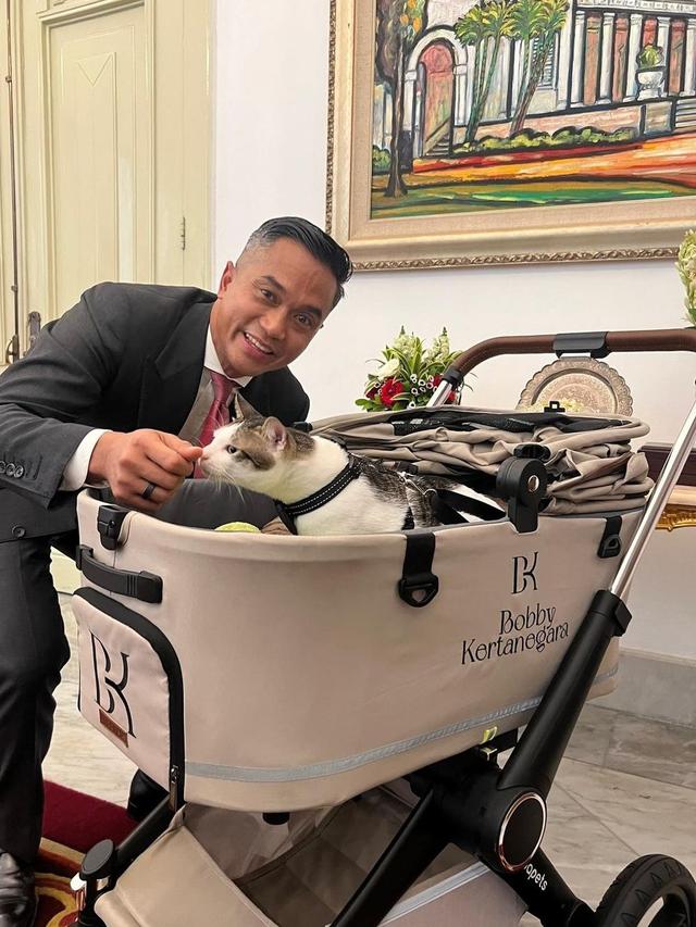 7 Potret Bobby Kucing Prabowo di Pelantikan Presiden, Jadi Penghuni Istana